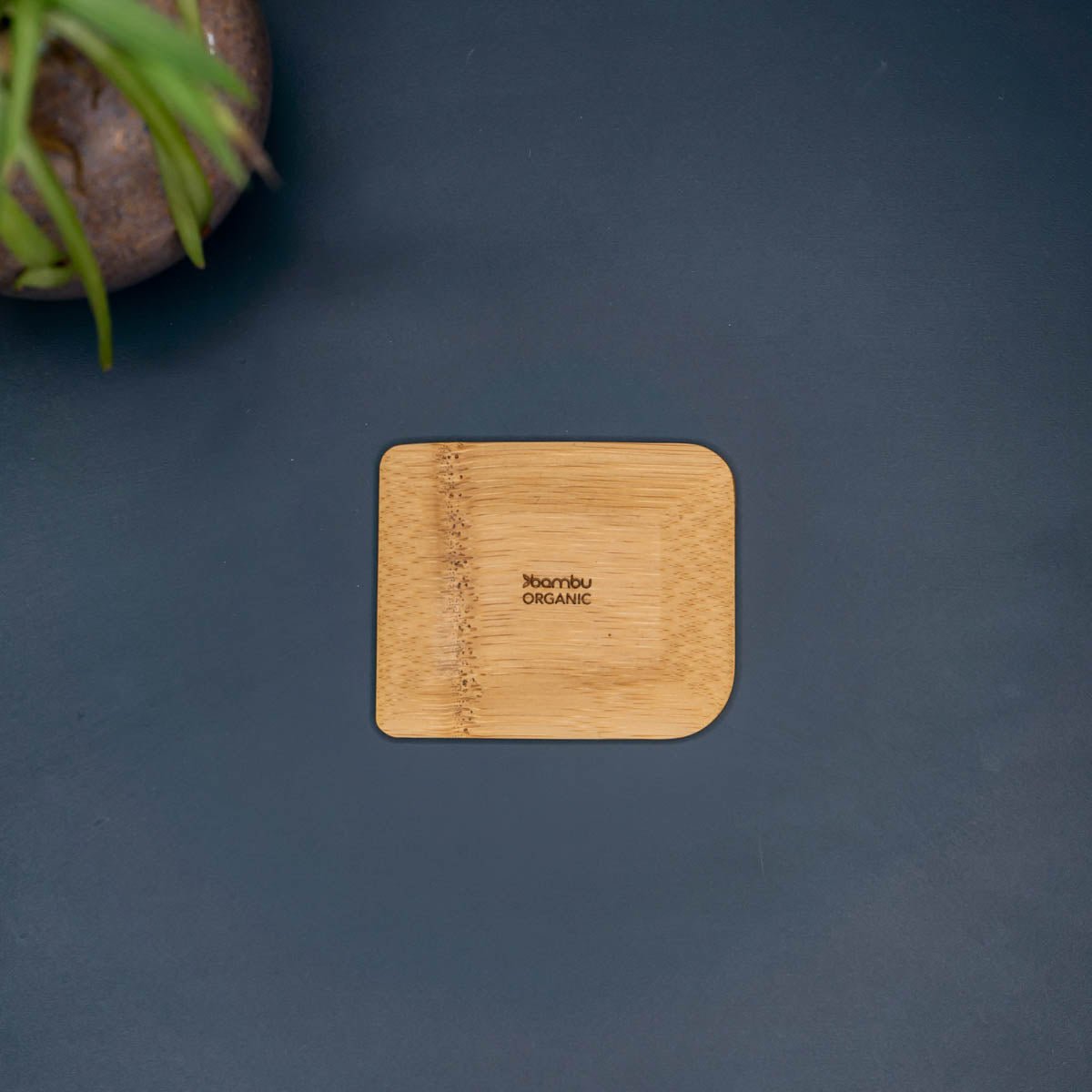 Bamboo Pot Scraper - Pot Scraper | Marley's Monsters