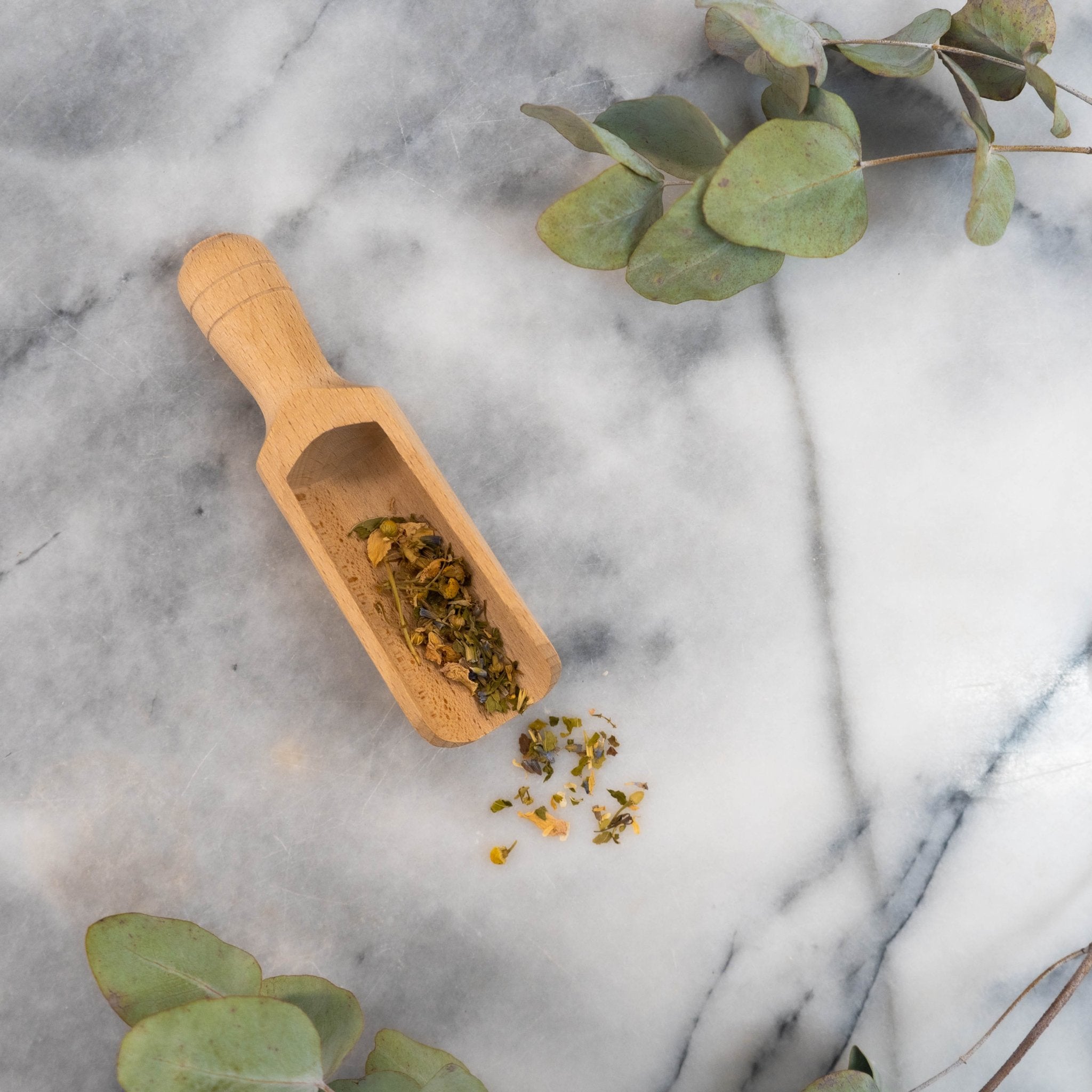 Large Wooden Scoop - Food Scoop | Marley's Monsters