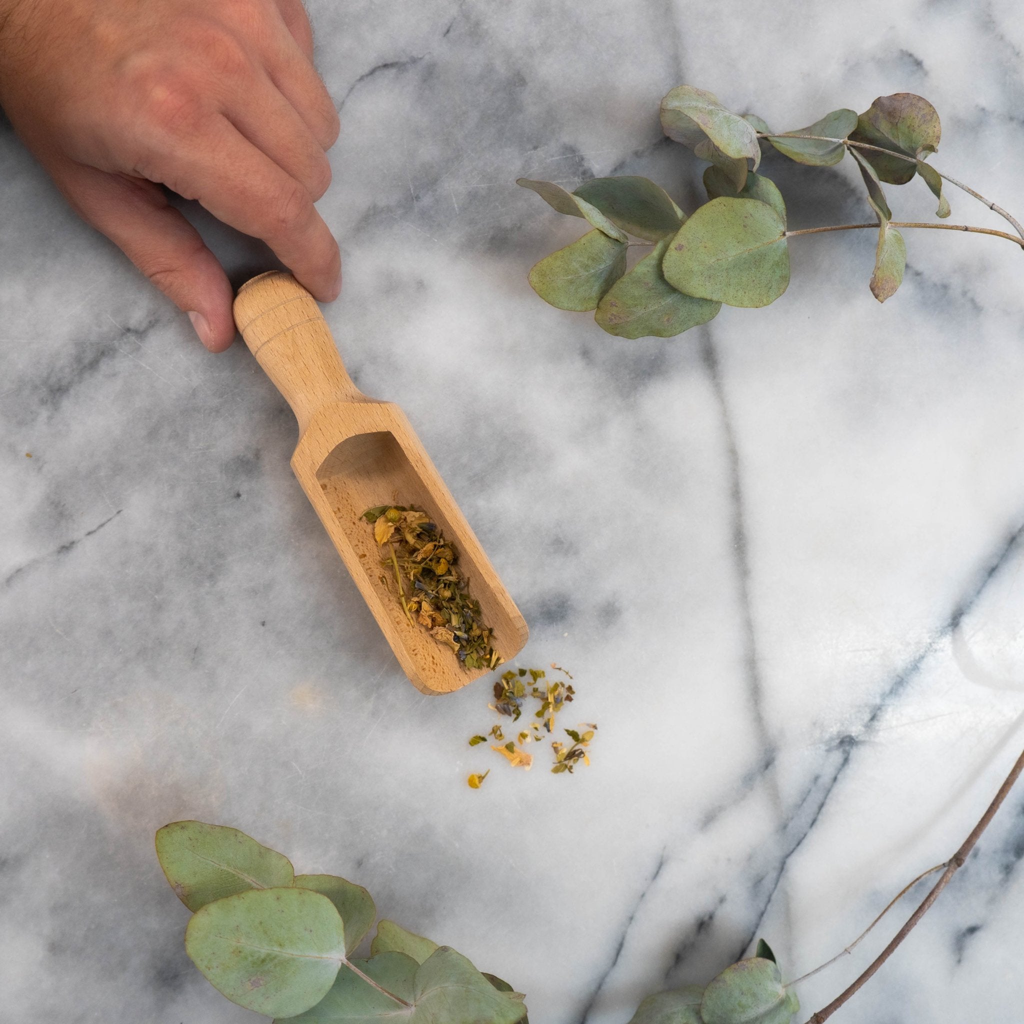 Large Wooden Scoop - Food Scoop | Marley's Monsters