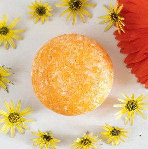 Organic Shampoo and Conditioner Bars – Marley's Monsters